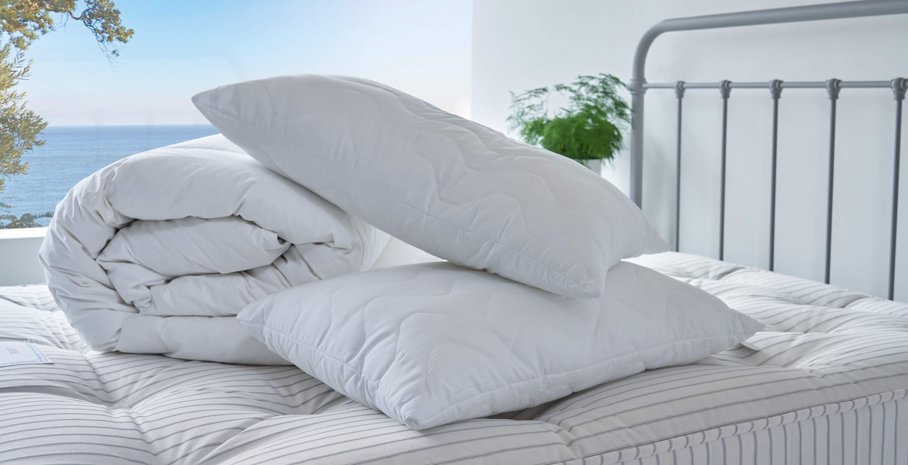 Anti allergic duvet store