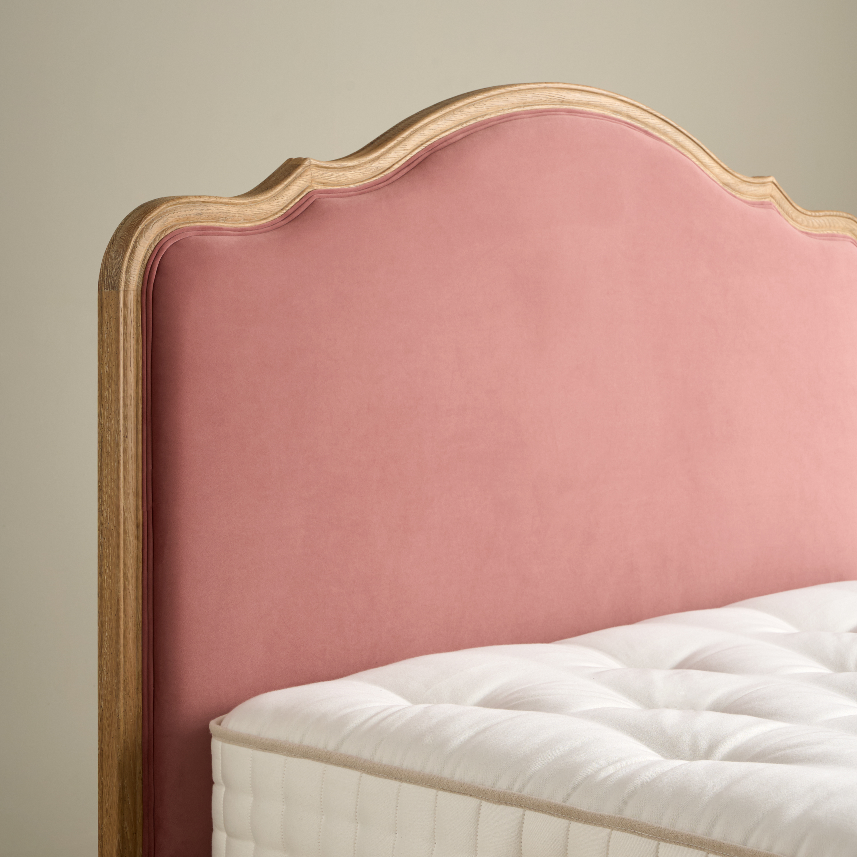 Sienna Beau Velvet Bed Single | Feather & Black